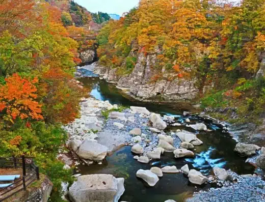 Sendai｜Zao Okama, Fox Village & Ginzan Hot Spring Private Charter One ...