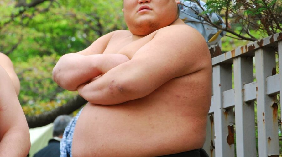 Sumo Banzuke System: Complete Guide to Japanese Wrestling Rankings and Hierarchy Structure