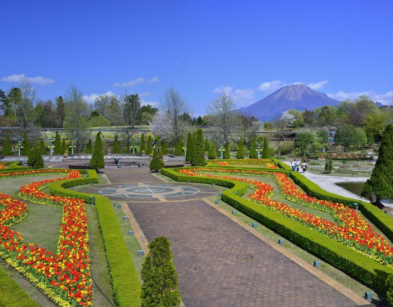 Tottori's Pokémon GO Sand Tour Route 2025-2026 - Jasumo