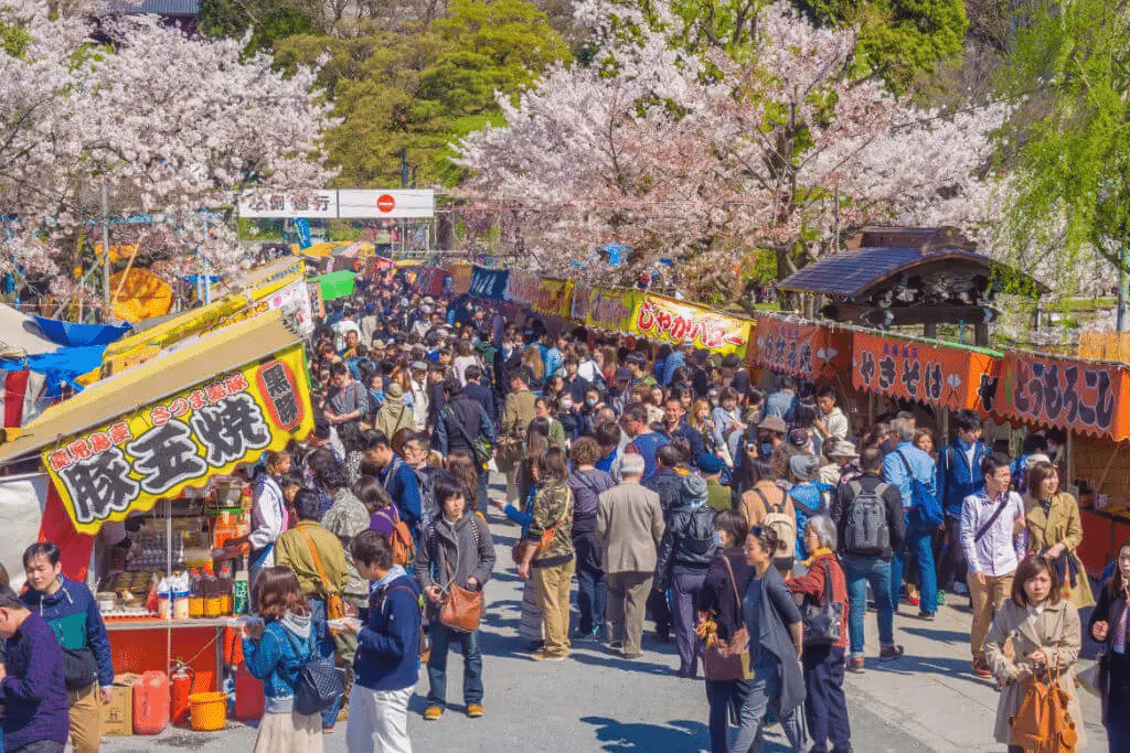 Cherry Blossom Season in Japan – Dates, Tips, and Festival Planning